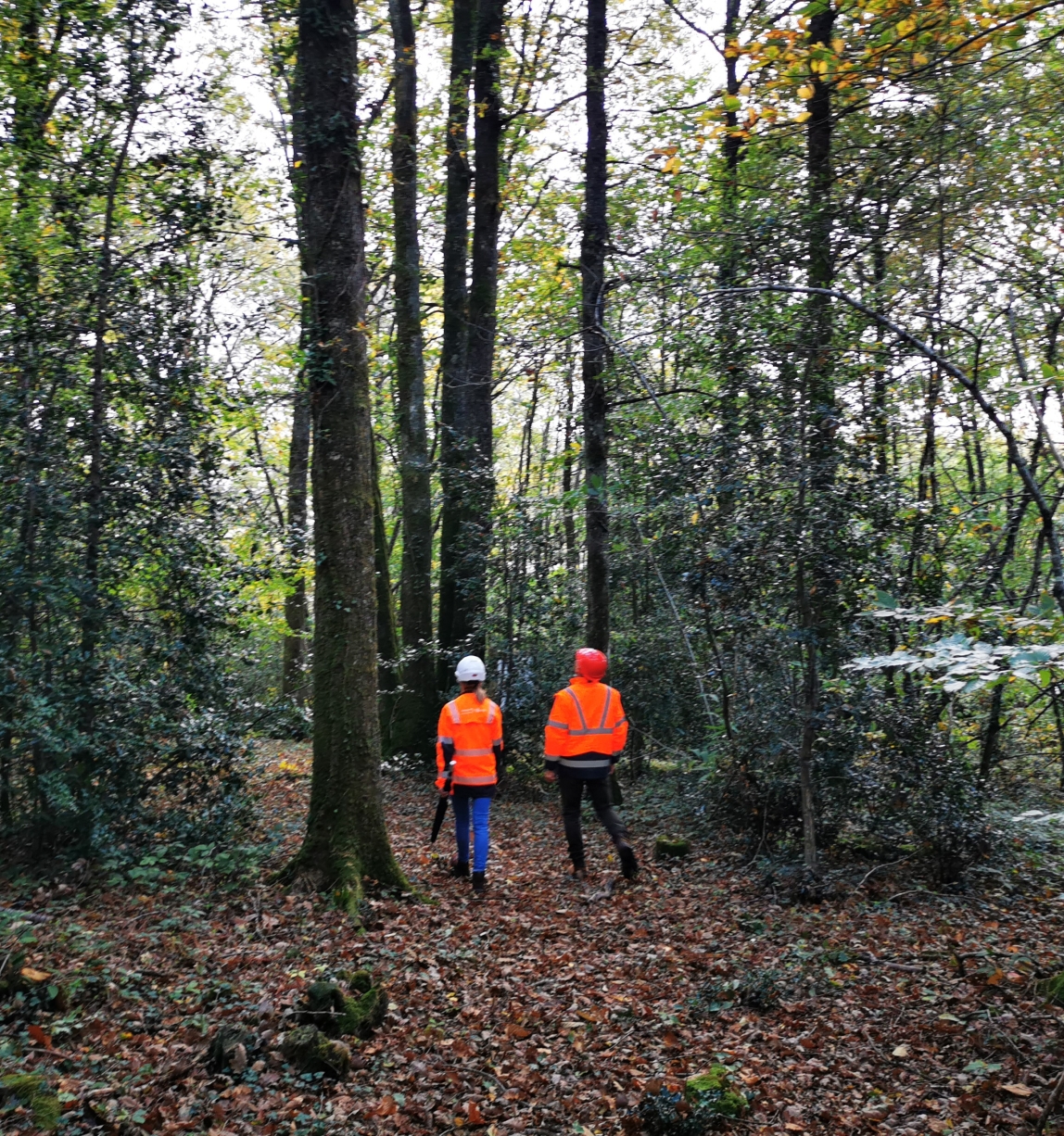 Workshops on FSC Core Labour Requirements | fsc.org